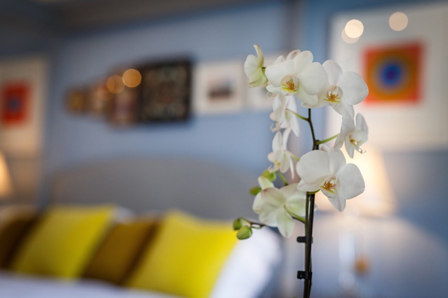 Room 7 | Luxury Bedrooms | The Assembly House